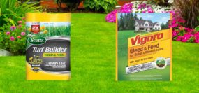 Scotts Fertilizer Vs Vigoro Fertilizer - Which Is Best?
