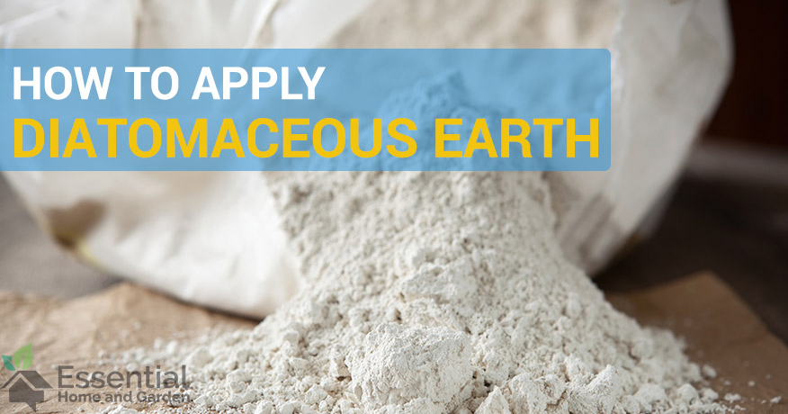 How To Use Diatomaceous Earth For Pest Control - Indoors And Outdoors