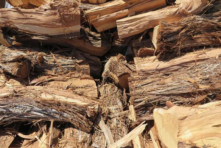Types Of Firewood – A Simple Guide To Burning The Right Fuel