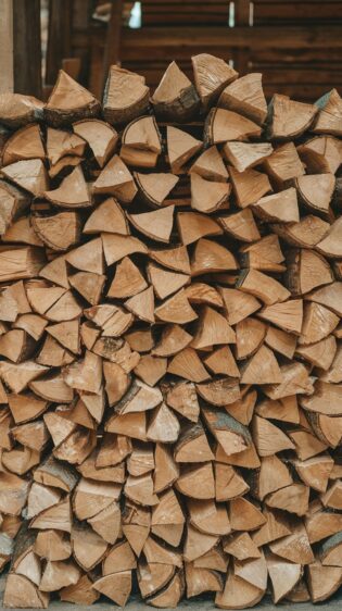 Types Of Firewood – A Simple Guide To Burning The Right Fuel