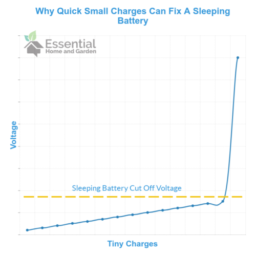 How To Fix A Ryobi 40V Battery Not Charging: The Definitive Guide