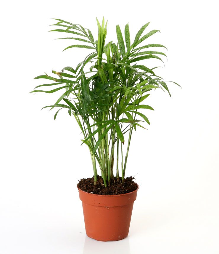 Get Rid Of Humidity In A Basement Without A Dehumidifier