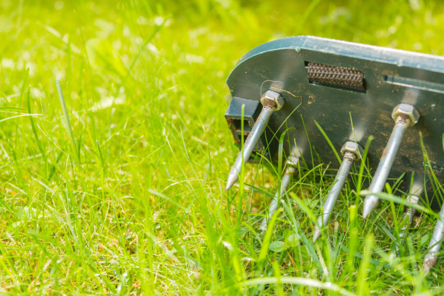 How To Loosen Compacted Soil And Improve Your Lawn