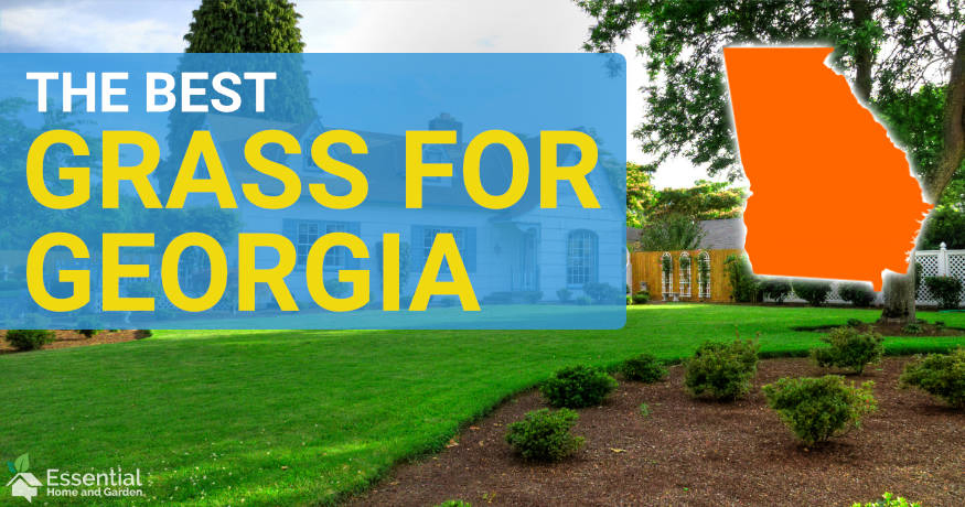 Lawn Care - Page 11 Of 23 - Essential Home And Garden