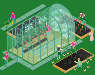 How Does A Greenhouse Work?