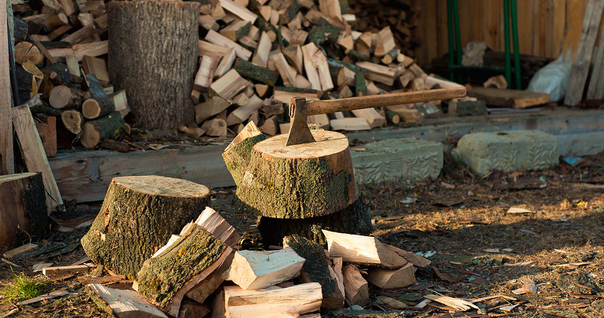 Types Of Firewood – A Simple Guide To Burning The Right Fuel