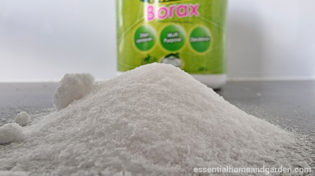 Borax For Ants - How To Use Borax To Kill Ants