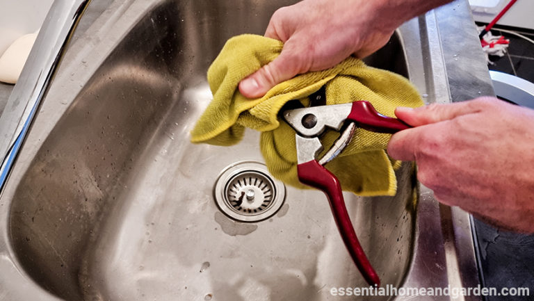 How To Clean Pruning Shears - Sterilize And Clean Your Pruners