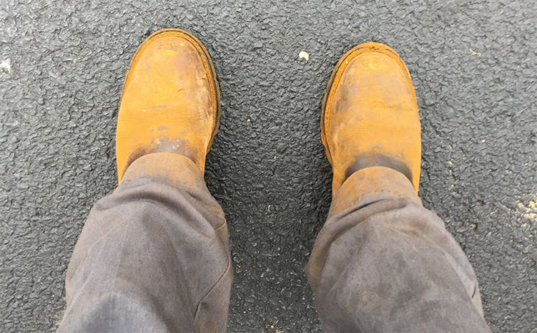 Lawn Rust - How To Identify, Treat And Prevent Rust On Grass