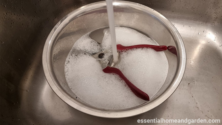 How To Clean Pruning Shears - Sterilize And Clean Your Pruners