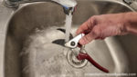 How To Clean Pruning Shears - Sterilize And Clean Your Pruners