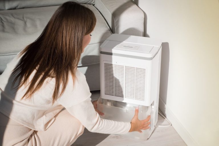 The Quietest Dehumidifiers That Actually Work In 2024