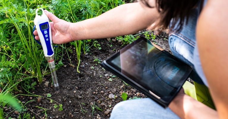 The Complete Soil PH Meter Guide - Are They Accurate?