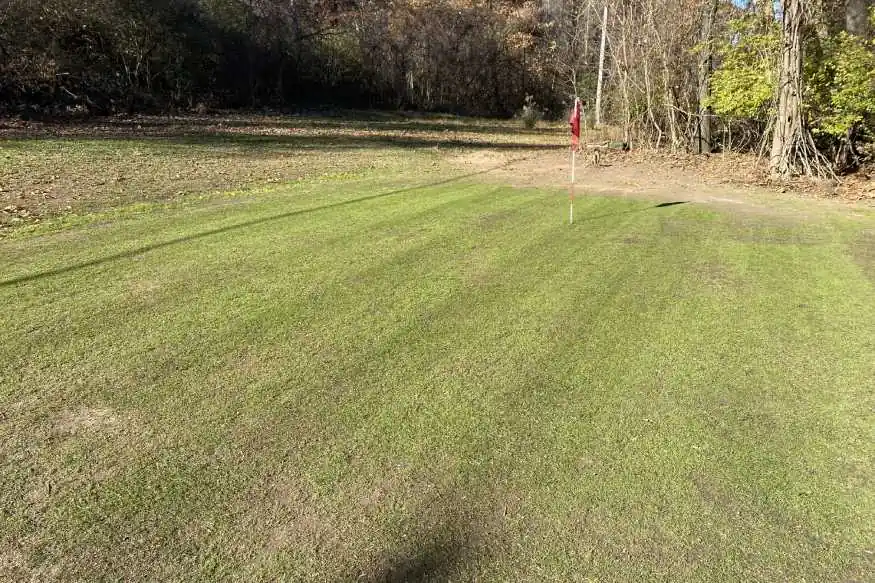 Best Grass Seed For Washington State: A Quick Guide For Lush Lawns