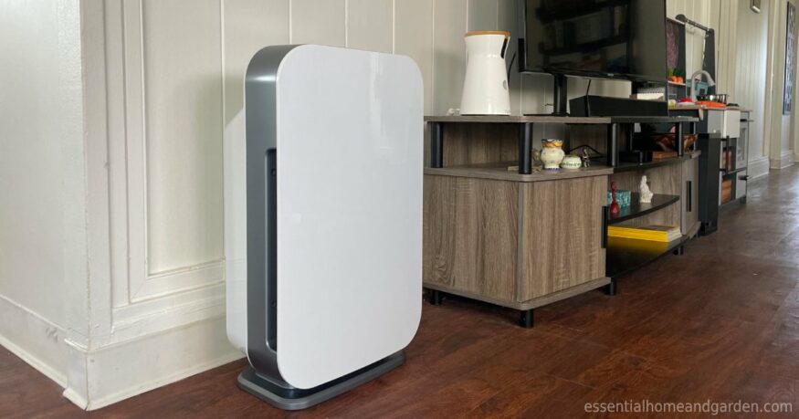EdenPure Thunderstorm Review - OxiLeaf II Air Purifier Hands-On Test ...