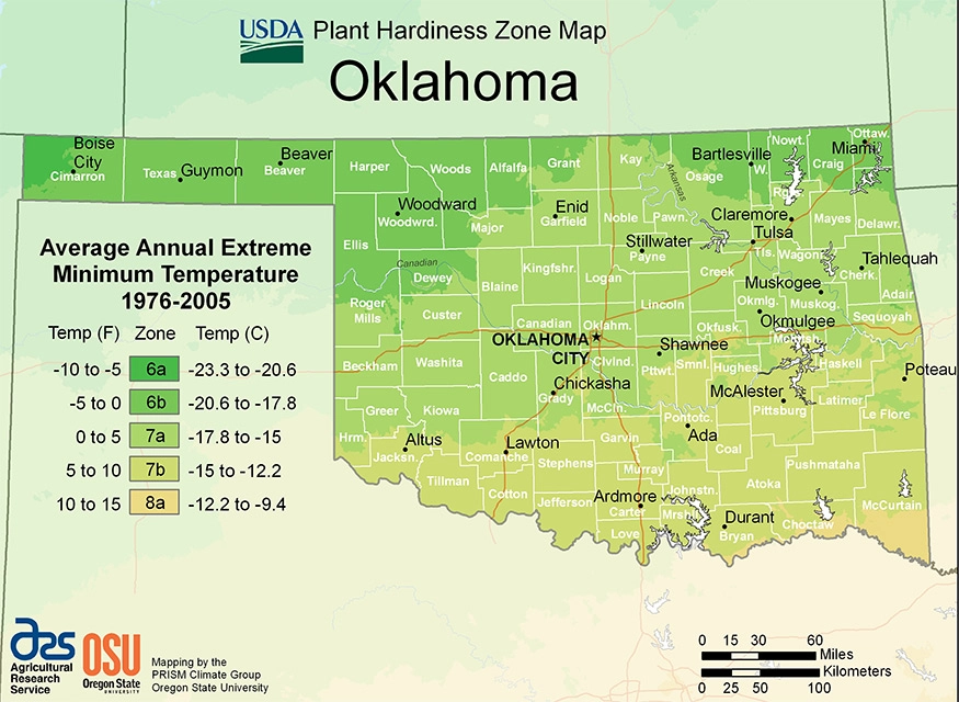 The Best Grass Seed For Oklahoma Lawns
