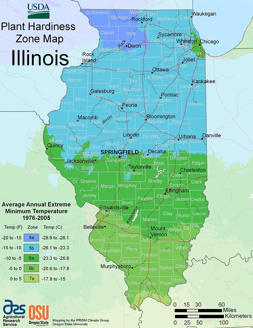 Best Grass Seed For Illinois Lawns