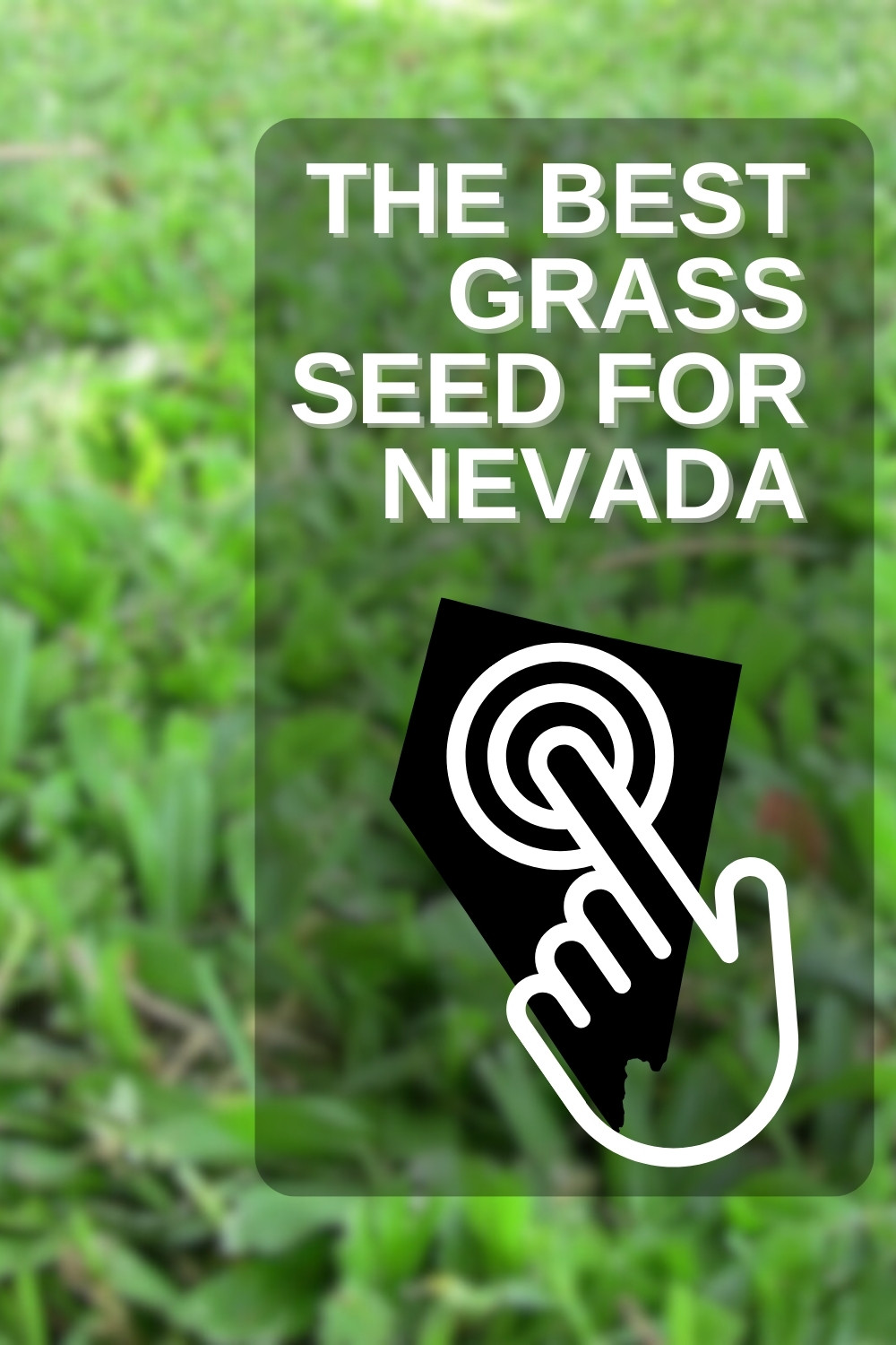 Best Grass Seed For Nevada: A Guide To Choosing The Right Variety