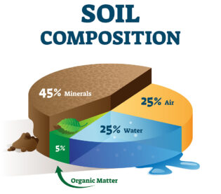 Soil Amendments - How To Use Them For A Healthier Lawn