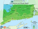 Best Grass Seed For Rhode Island: A Comprehensive Guide - Essential ...