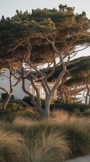 42 Stunning Coastal Front Yard Landscape Ideas